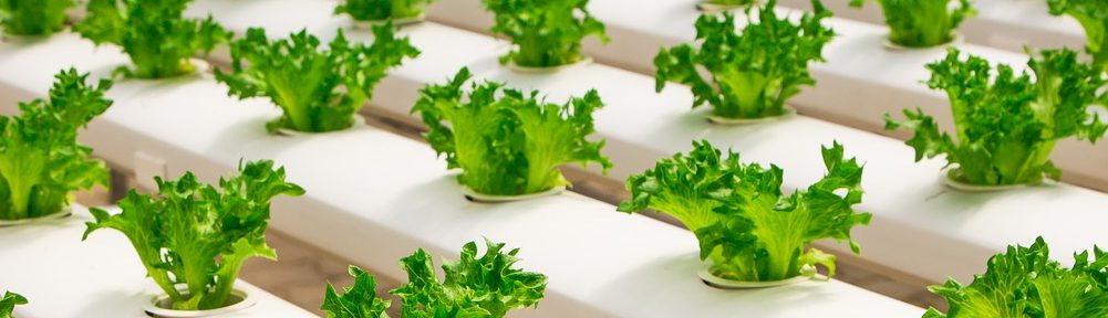 Hydroponics Nutrient Solution EC and PH Charts | DIYblindGuy